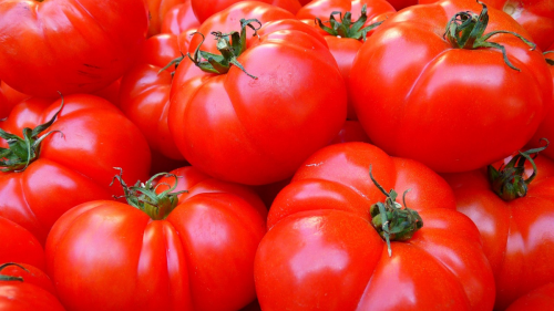 Un nuevo método permite silenciar genes en plantas para mejorar el rendimiento de los cultivos